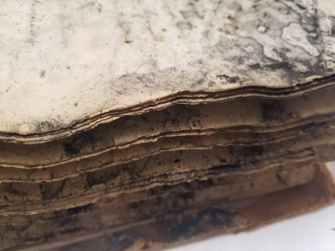 Preparing for and Cleaning Mold on Paper Records – For the Record