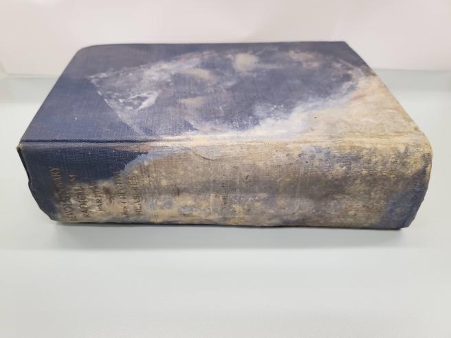 Preparing for and Cleaning Mold on Paper Records – For the Record